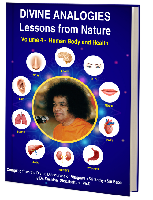 Divine Analogies - Lessons from Nature - Volume 4 - Human Body and ...